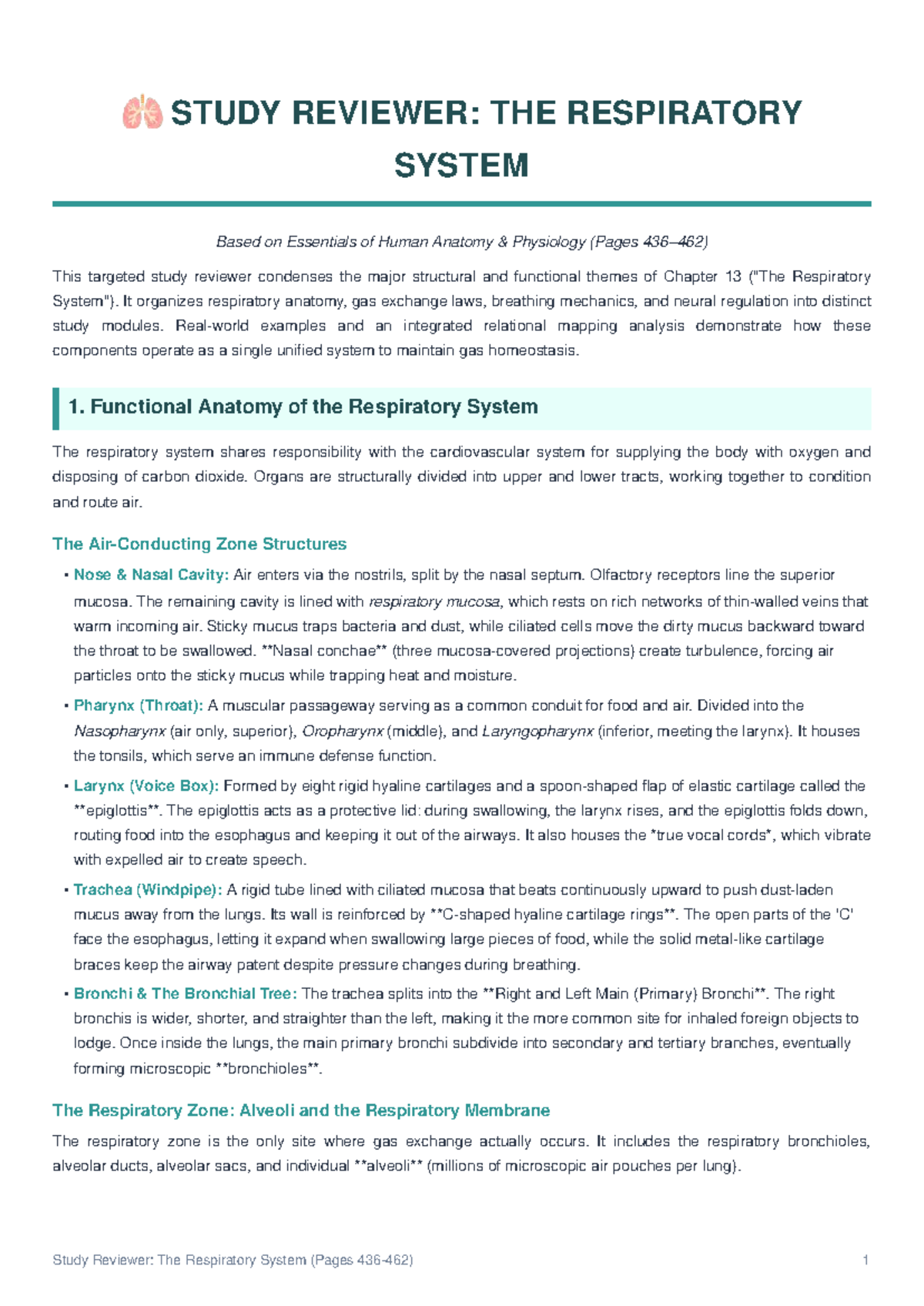STUDY REVIEWER: RESPIRATORY SYSTEM (ESSENTIALS OF HUMAN ANATOMY) - Studocu