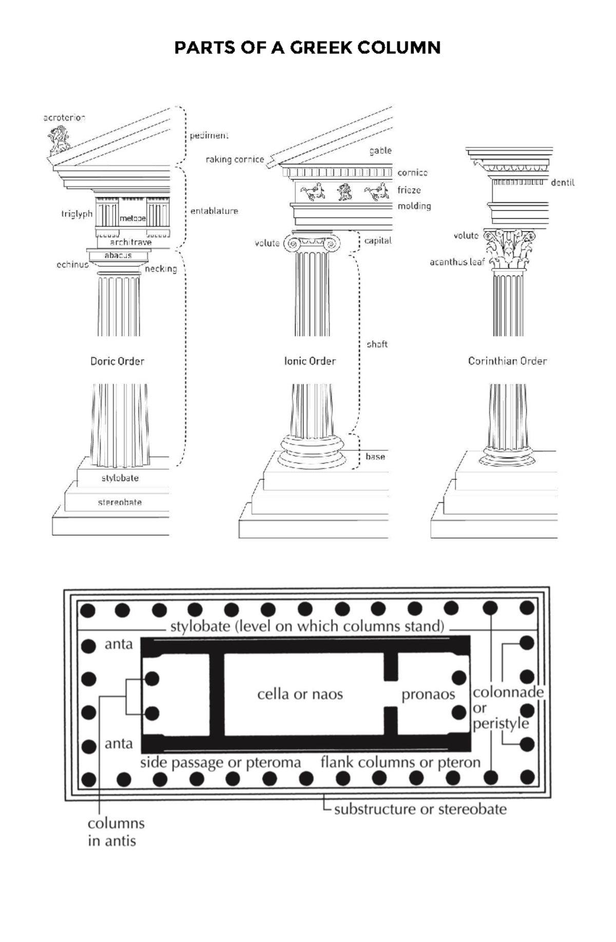 Parts of Greek Columns and Cathedral Design - ALE Review - Studocu