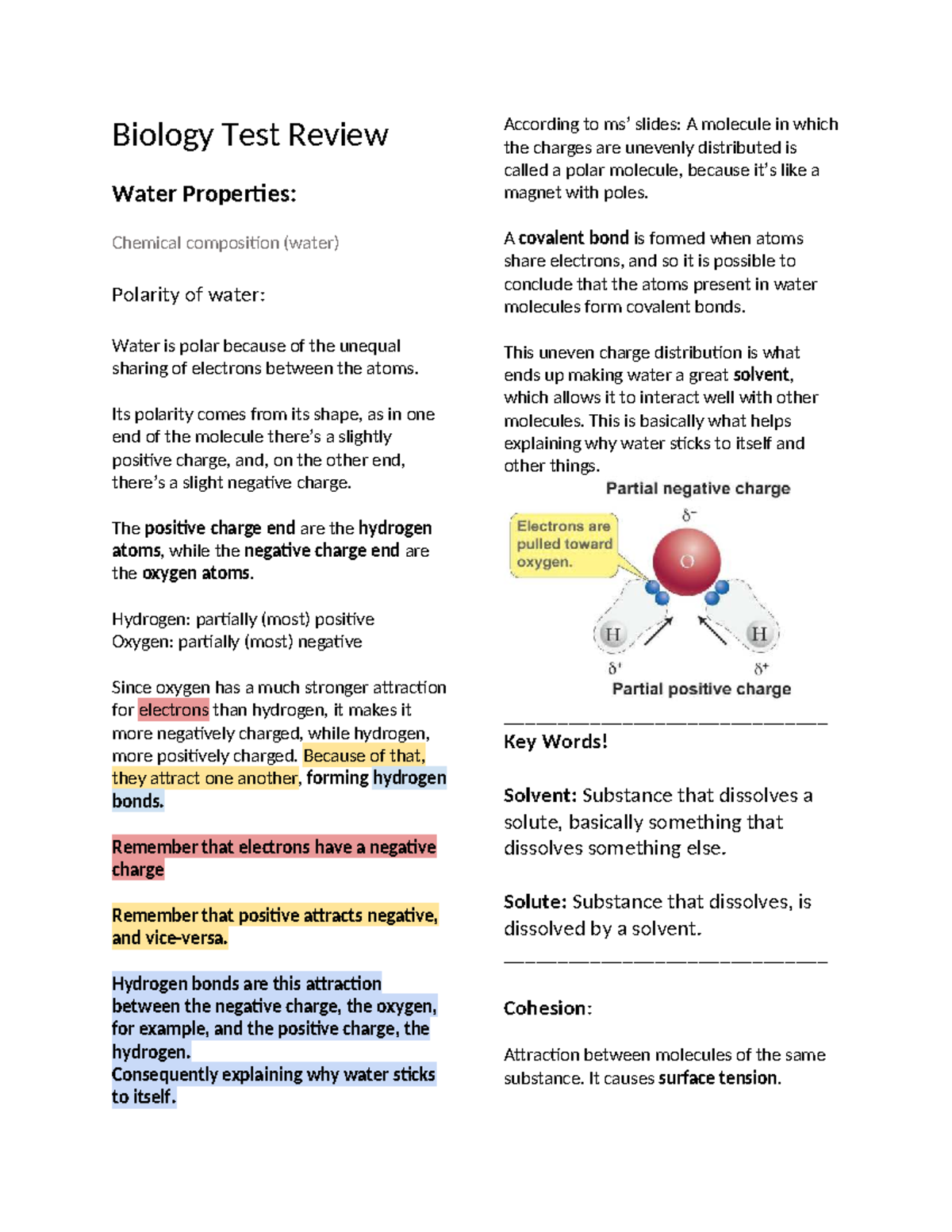Biology 101: Test Review on Water Properties and Biomolecules - Studocu