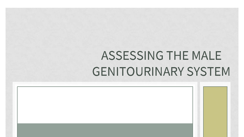 N321 Male Genitourinary System Assessment Guide - Studocu