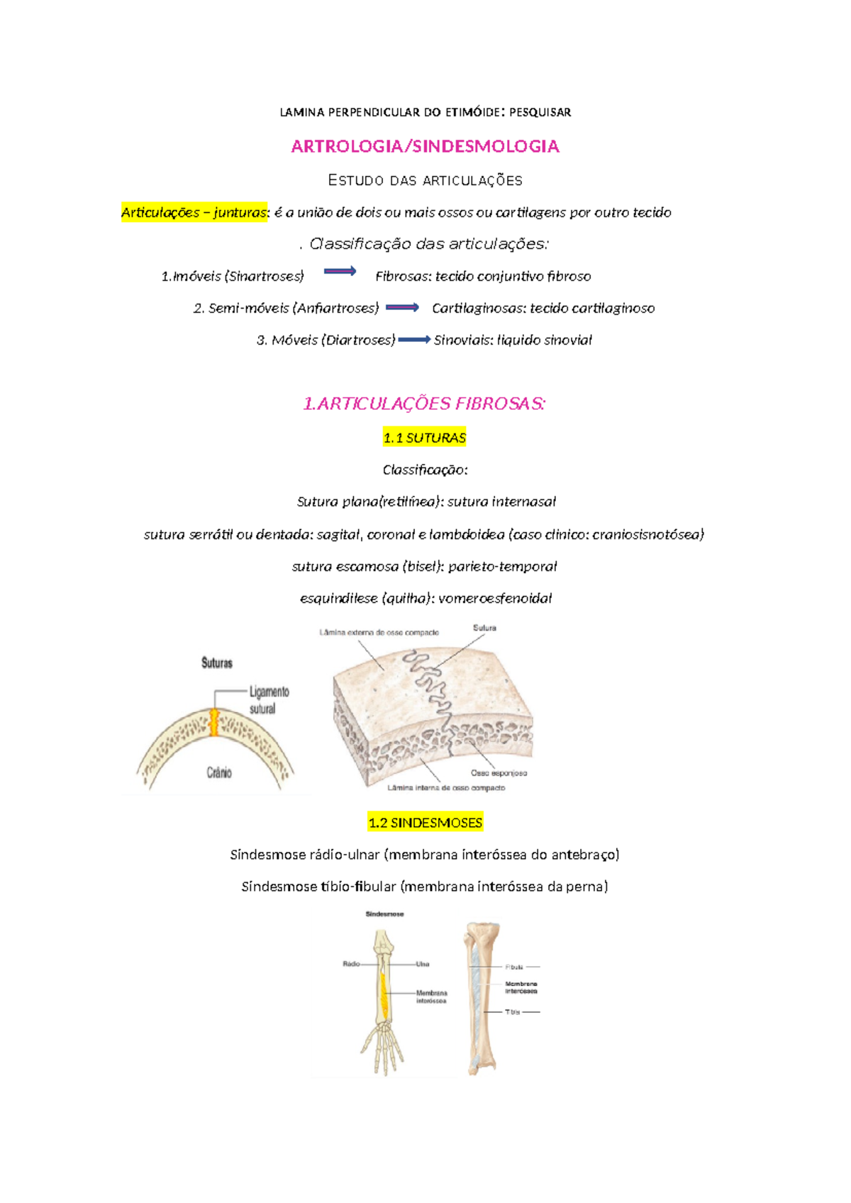 Artrologia / Sindesmologia - LAMINA PERPENDICULAR DO ETIMÓIDE ...