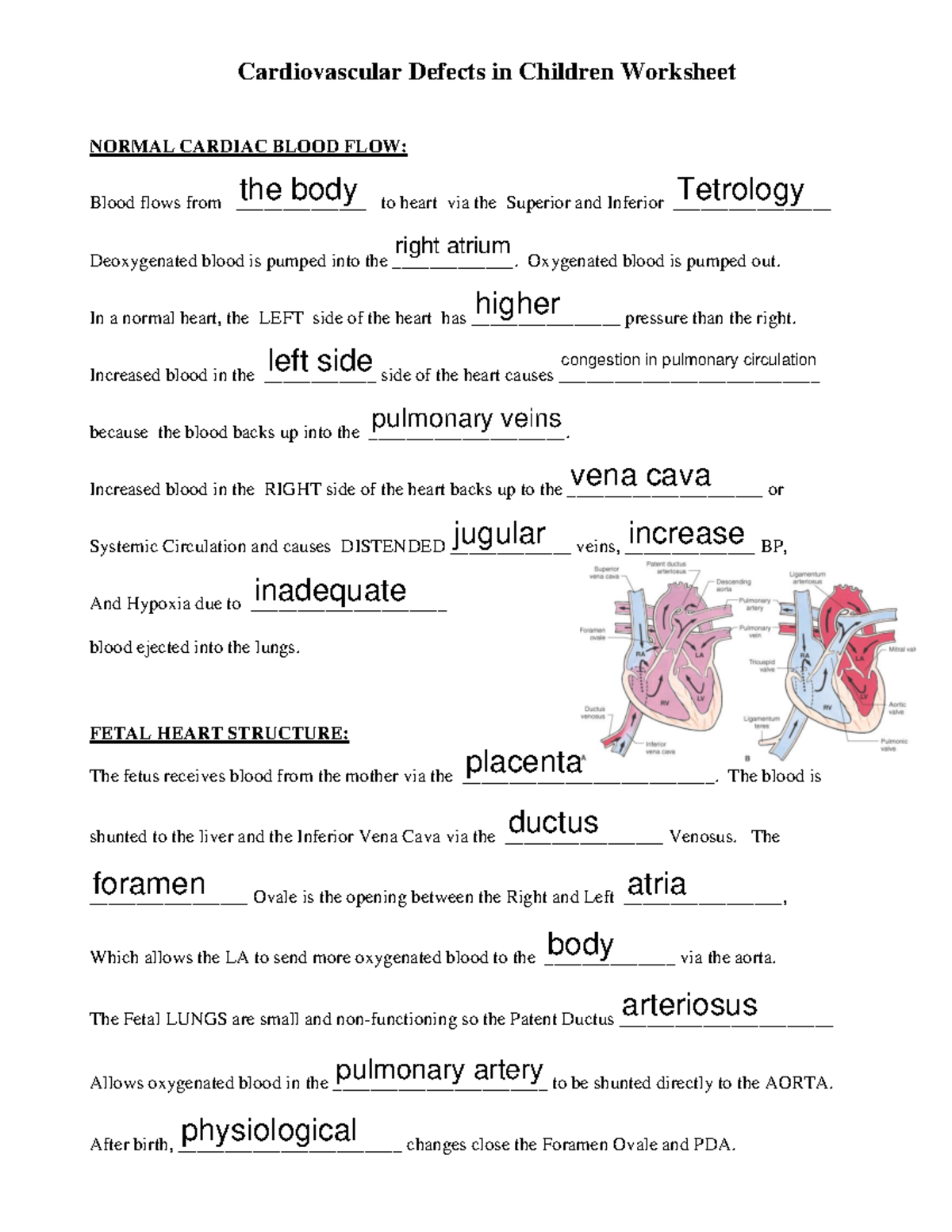 Cardiovascular Defects in Children: Fillable Worksheet Overview - Studocu