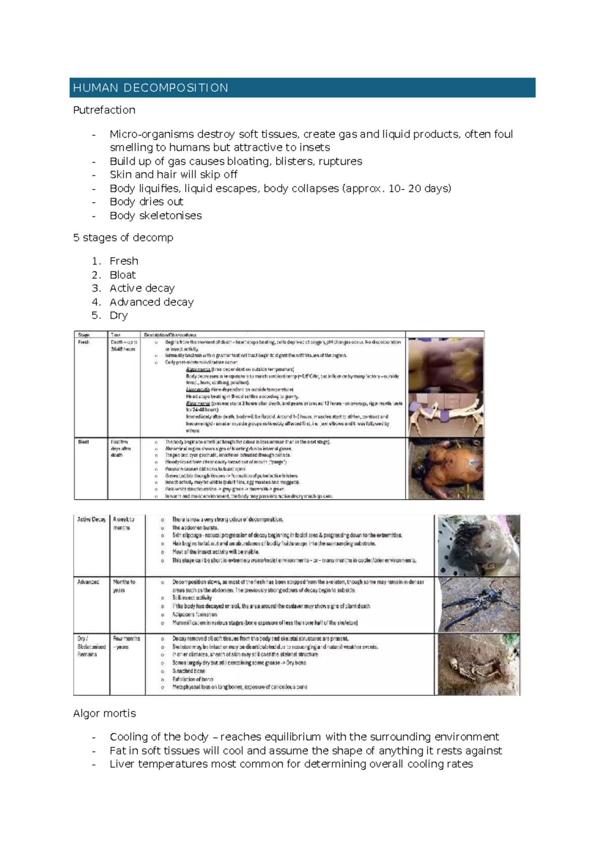 Forensic Taphonomy and Decomposition: Insights from Archeology Master ...