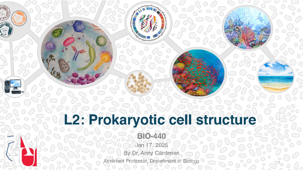 Prokaryotic Cell Structure & Function Overview - BIO-440 Lecture Notes ...