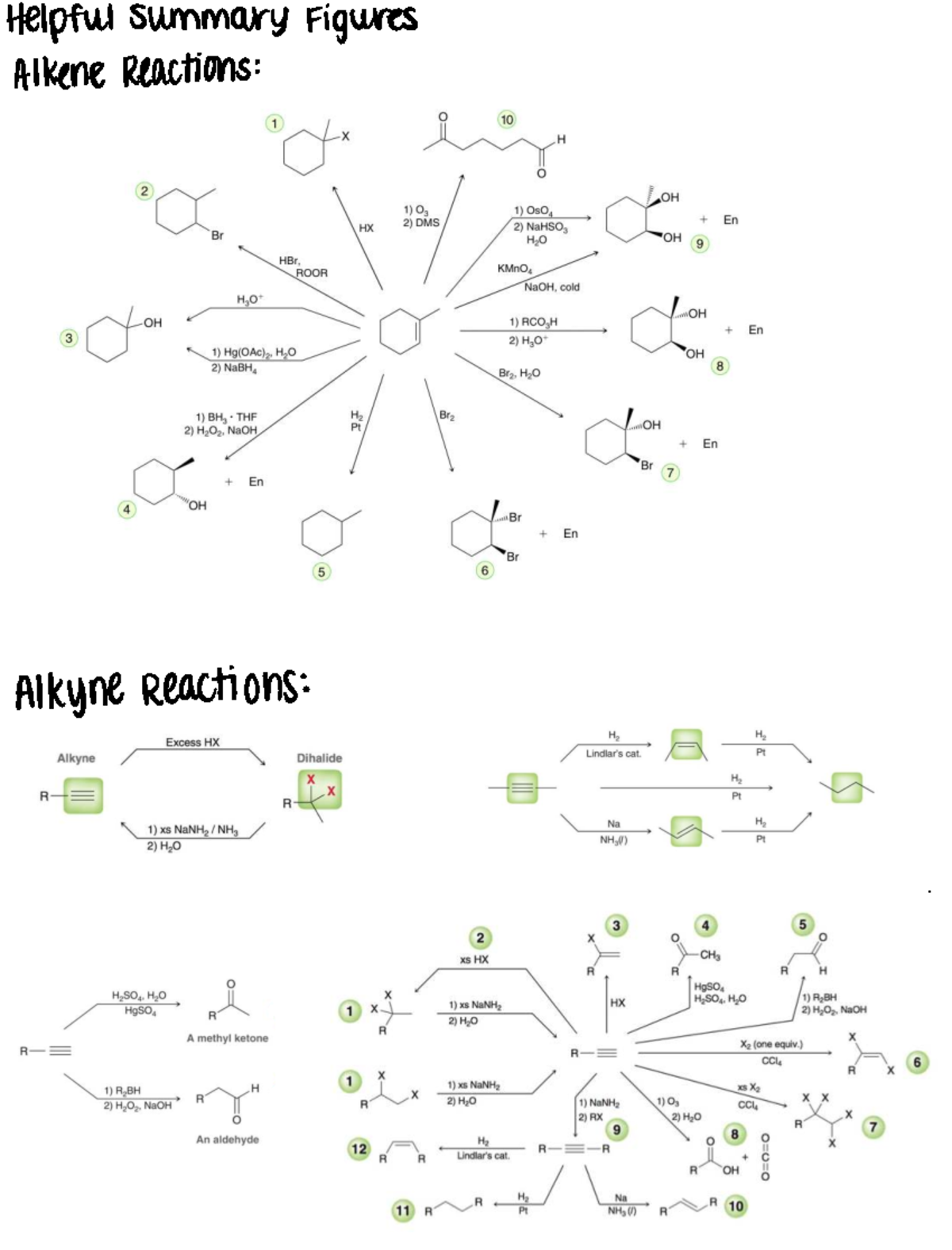 Alkene and Alkyne Reactions Summary Review - Studocu