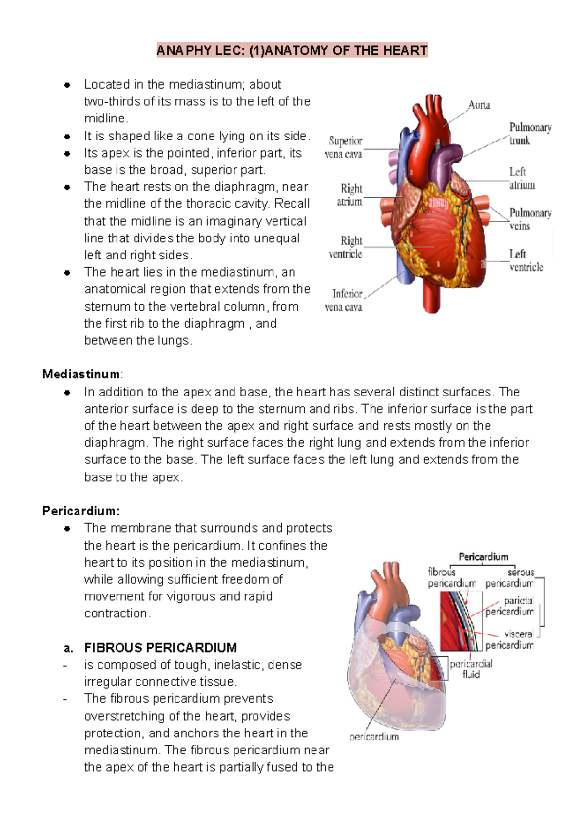 Anaphy LEC cardiovascular system - ANAPHY LEC: (1)ANATOMY OF THE HEART ...