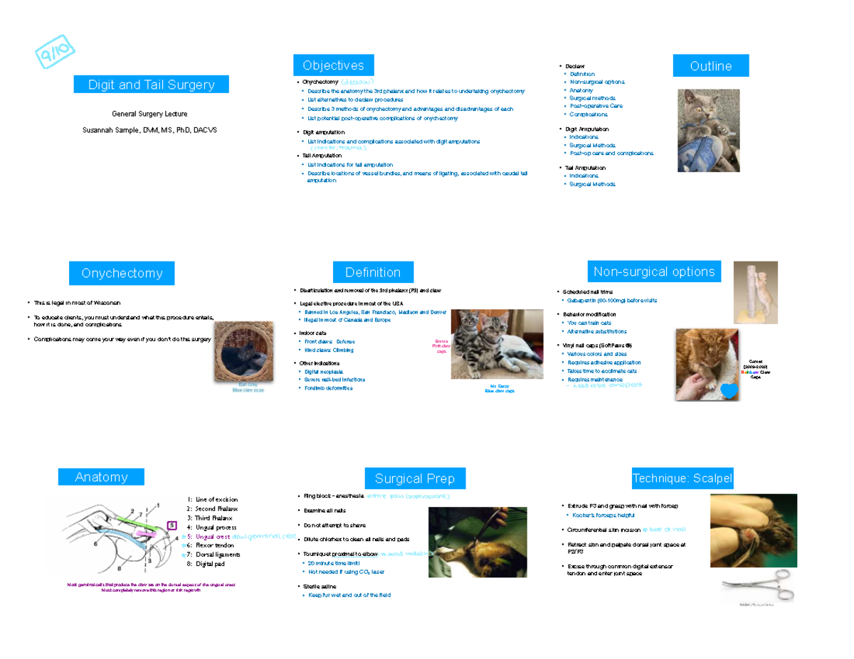 Digital and Tail Surgery: Lecture Notes on Onychectomy (GS 101) - Studocu