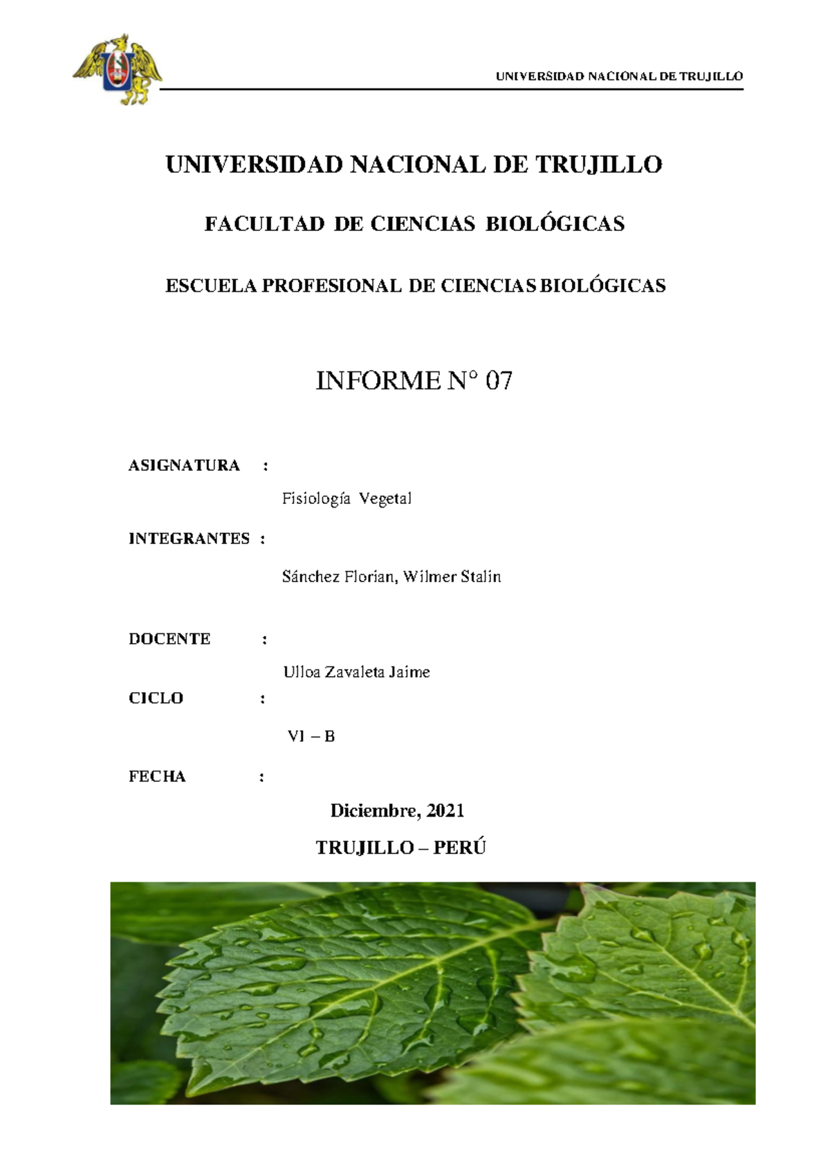 Anatomía De Las Hojas De Las Plantas C3, C4 Y Cam