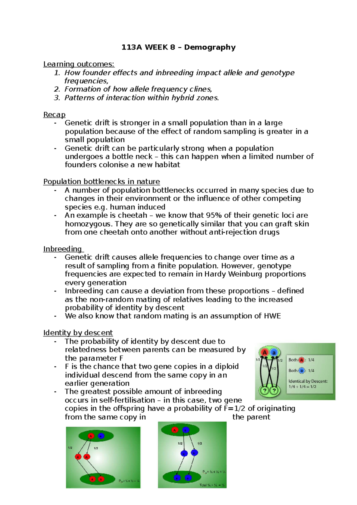 113A W8 - Demography: Genetic Drift, Inbreeding & Allele Frequencies ...
