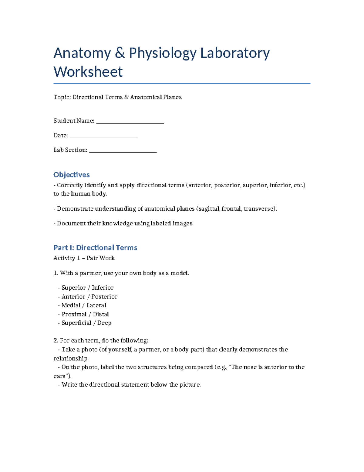 Anatomy & Physiology Lab Worksheet: Directional Terms & Planes ...
