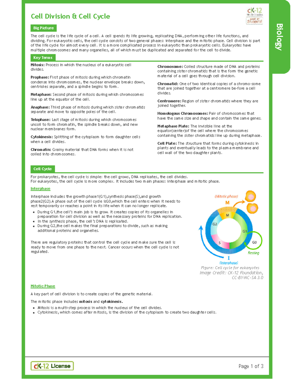 Cell Division & Cell Cycle Study Guide (Bio 101) - Studocu