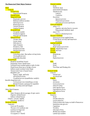 Unit 5 HW19 Ex 9 Review Sheet (Axial Skeleton) - Unit 5 HW19: Ex 9 ...