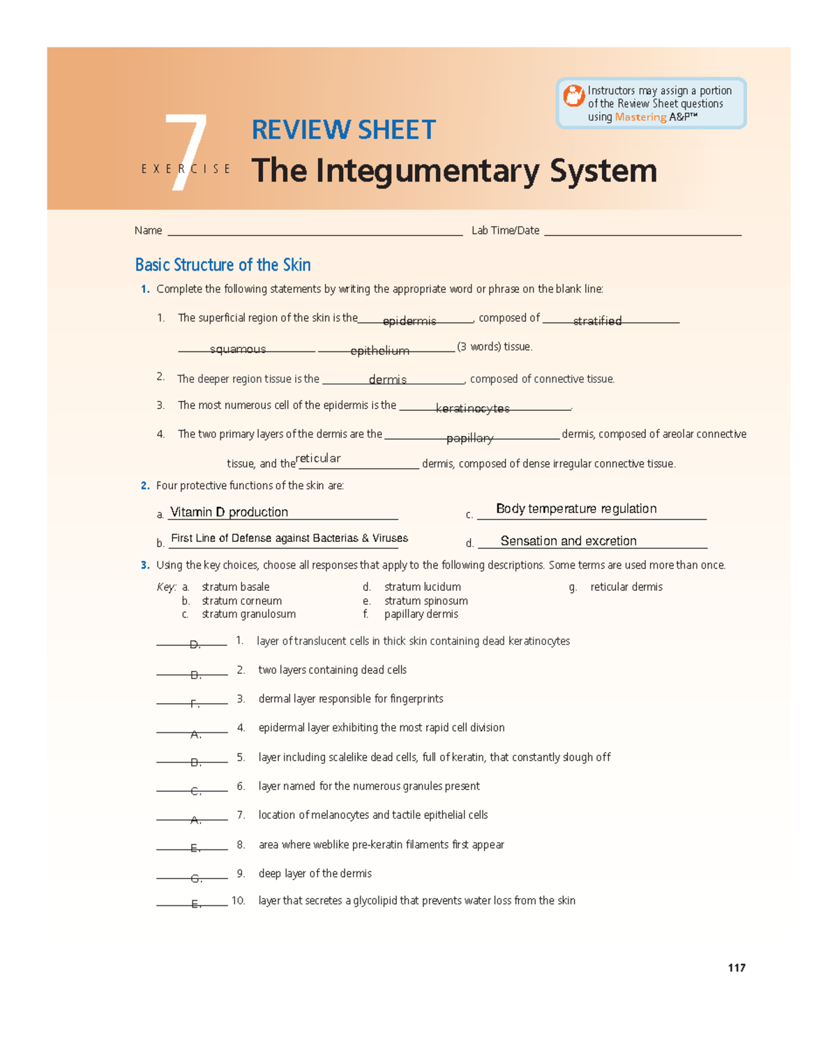 Exercise-7 -Integumentary-System - ####### 117117 Instructors may ...