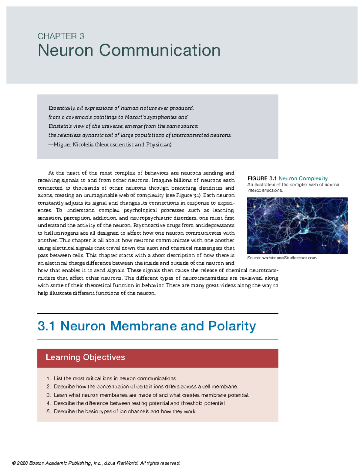 Biopsychology Lecture Notes: Neuron Communication Overview - PS101 ...