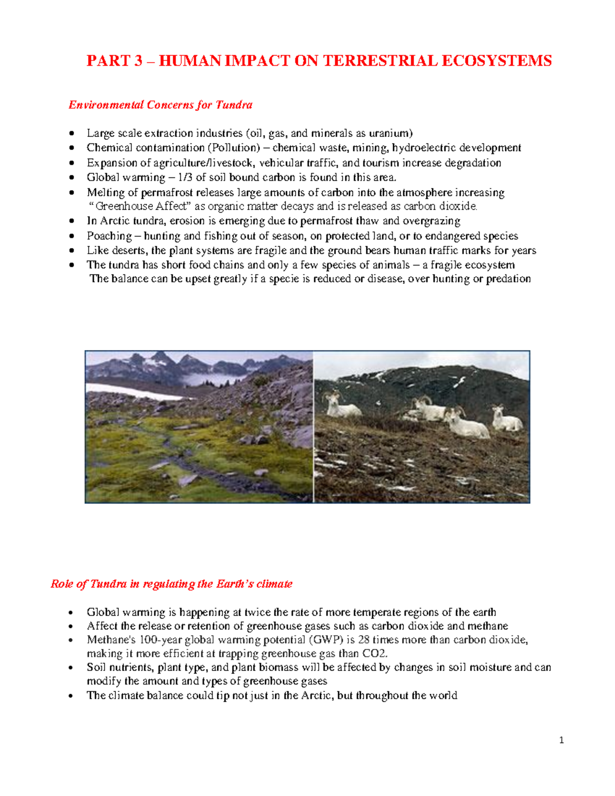 Ecology- Human Impact - class practice - PART 3 – HUMAN IMPACT ON ...