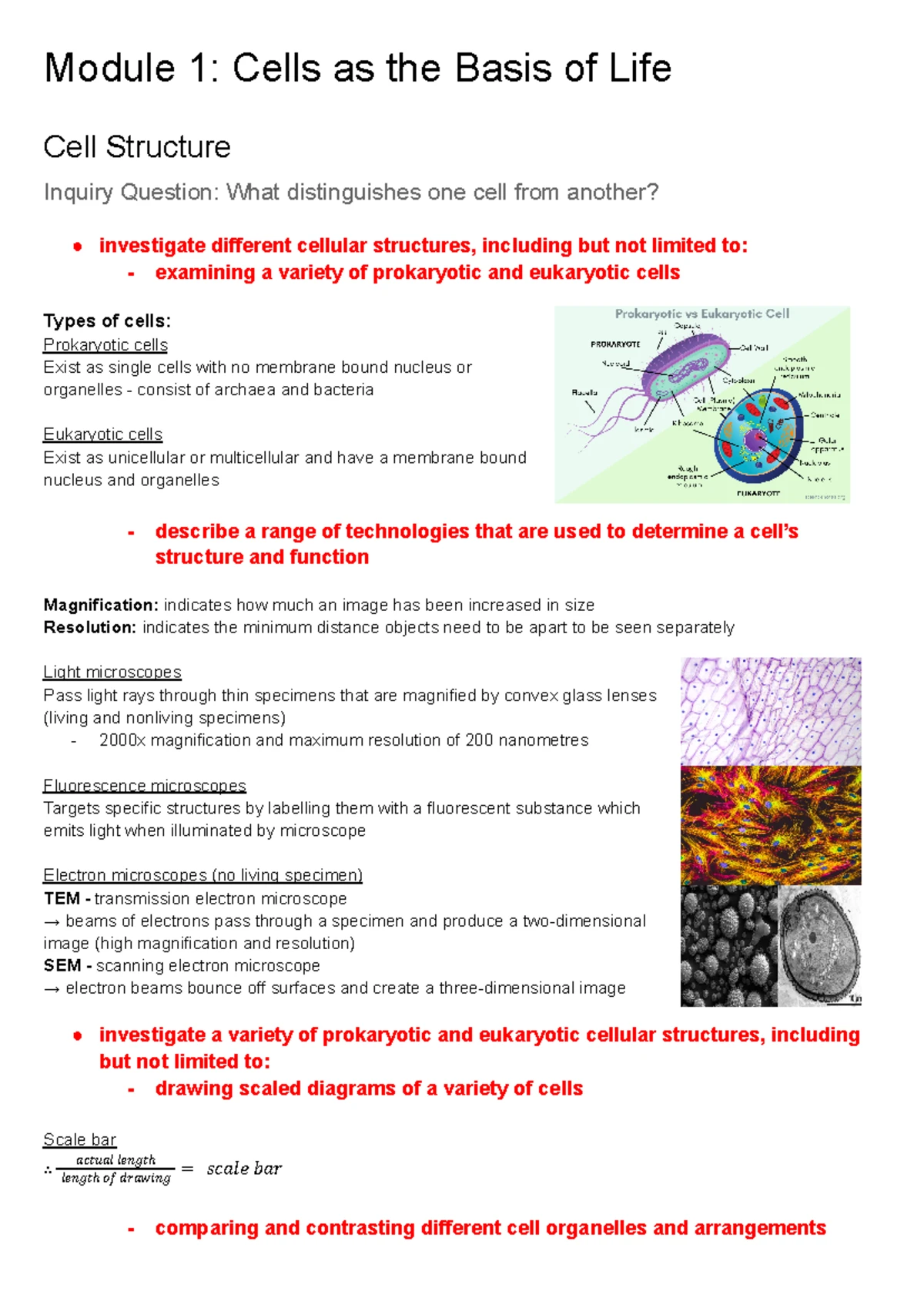 Biology Module 1: Understanding Cell Types and Functions - Studocu