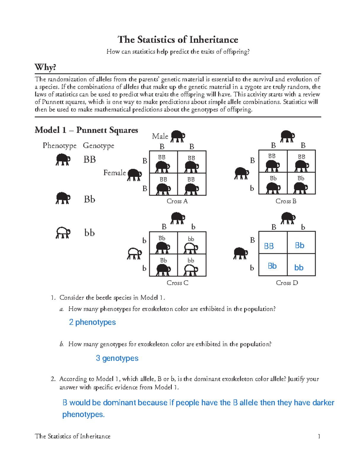 Statistics of Inheritance in Beetles - AP Biology POGIL Activities - Studocu