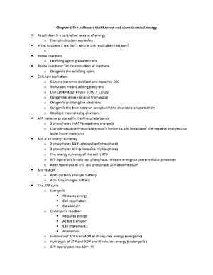 [Solved] what does a hairy tongue with increased hyperkeratinization ...