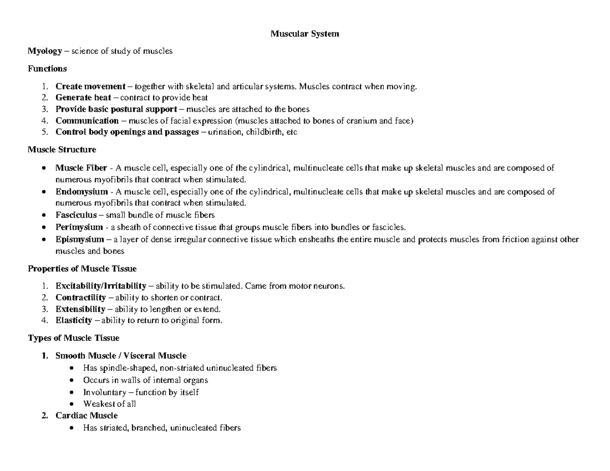 Muscular System Review: Key Concepts & Functions - Studocu