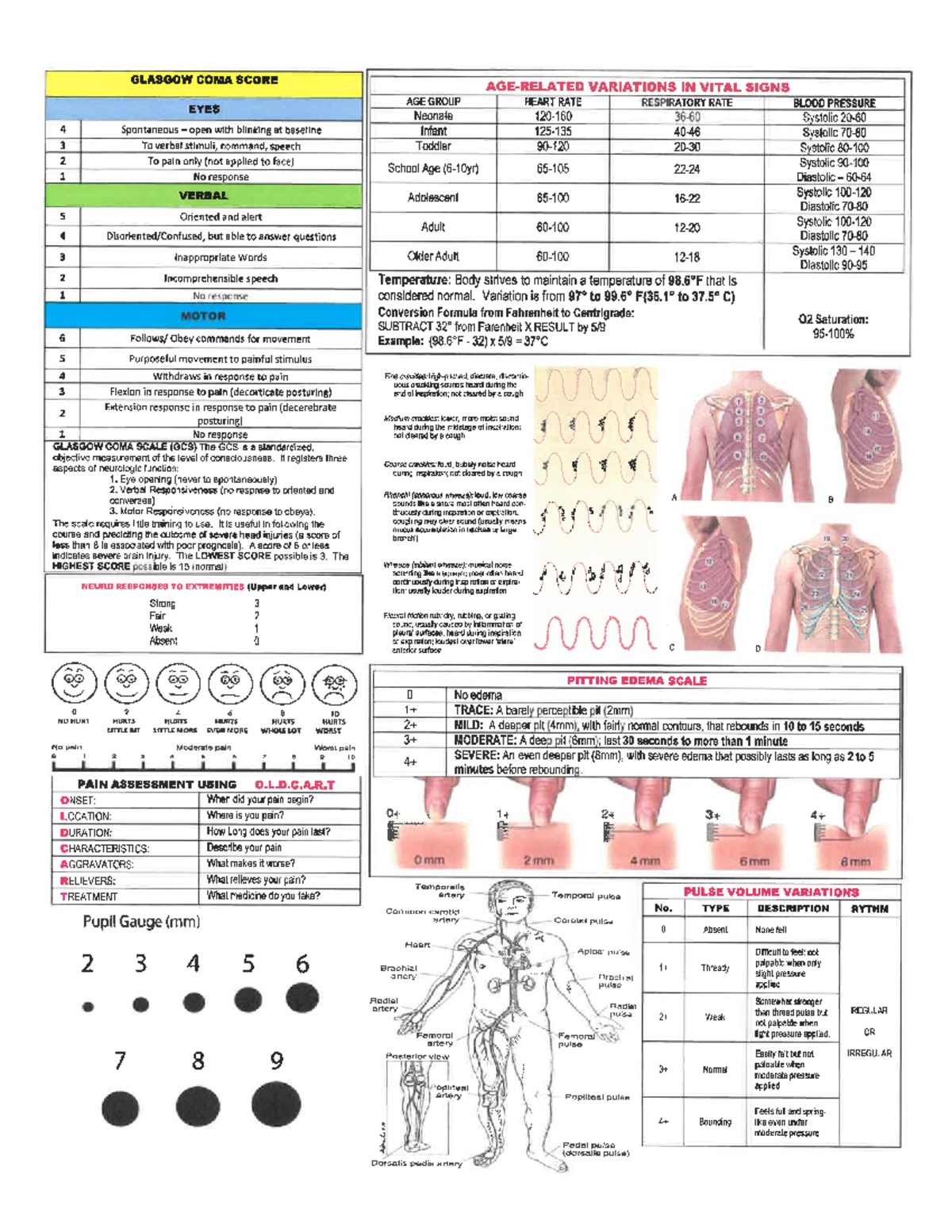 Physical assessment color guide for students - PNVN1811 - Studocu