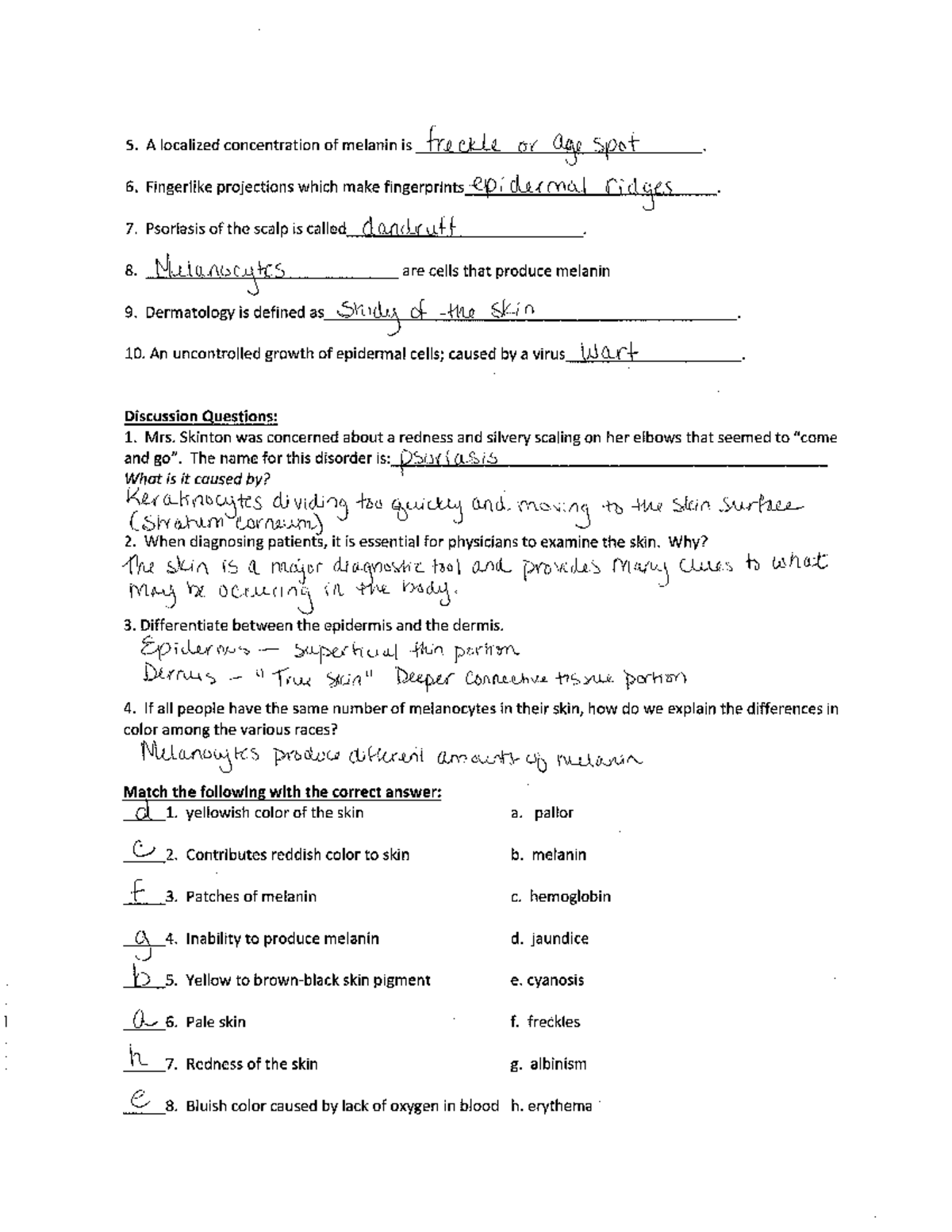Skin Worksheet KEY: Dermatology Concepts & Disorders - Studocu