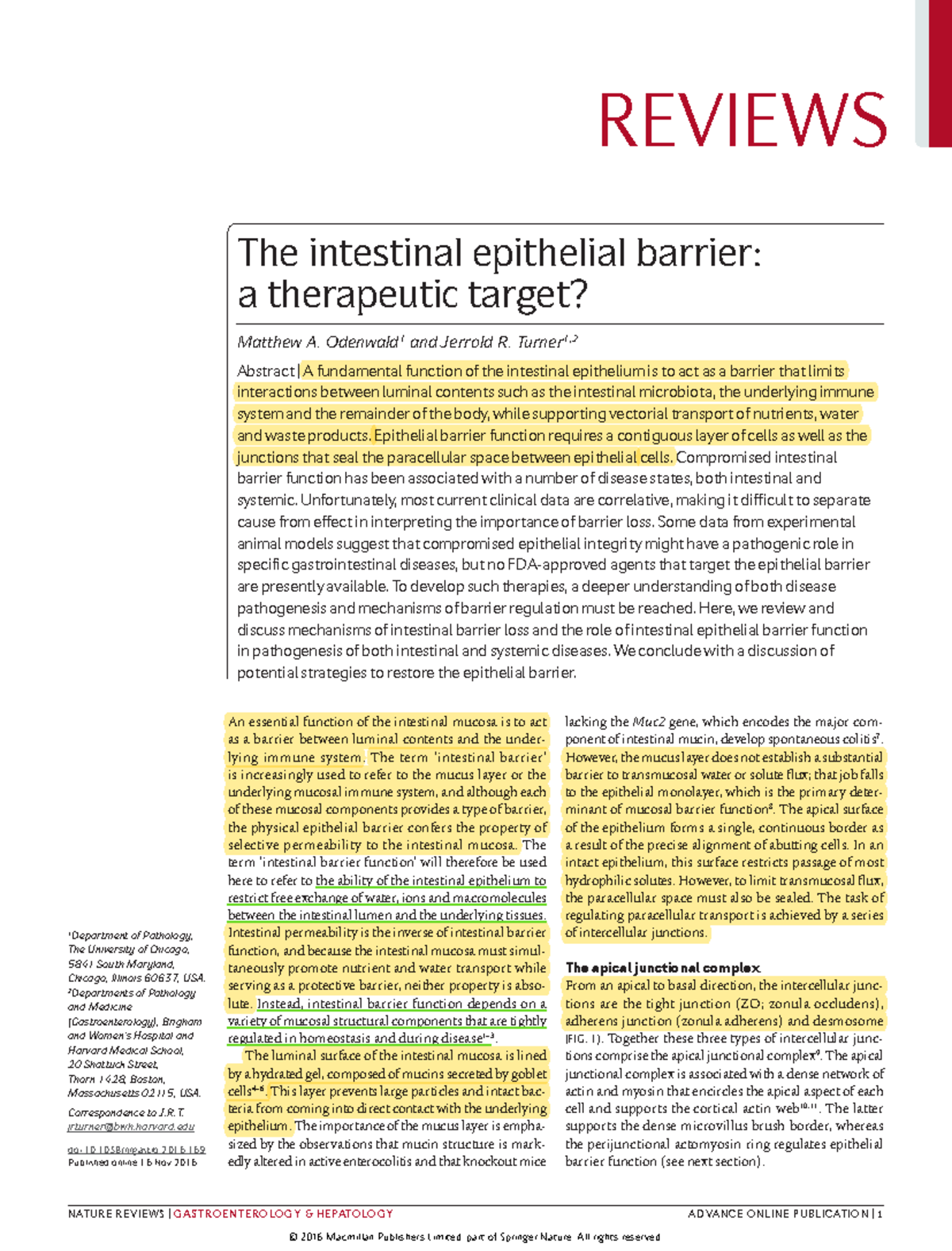The intestinal epithelial barrier - An essential function of the ...