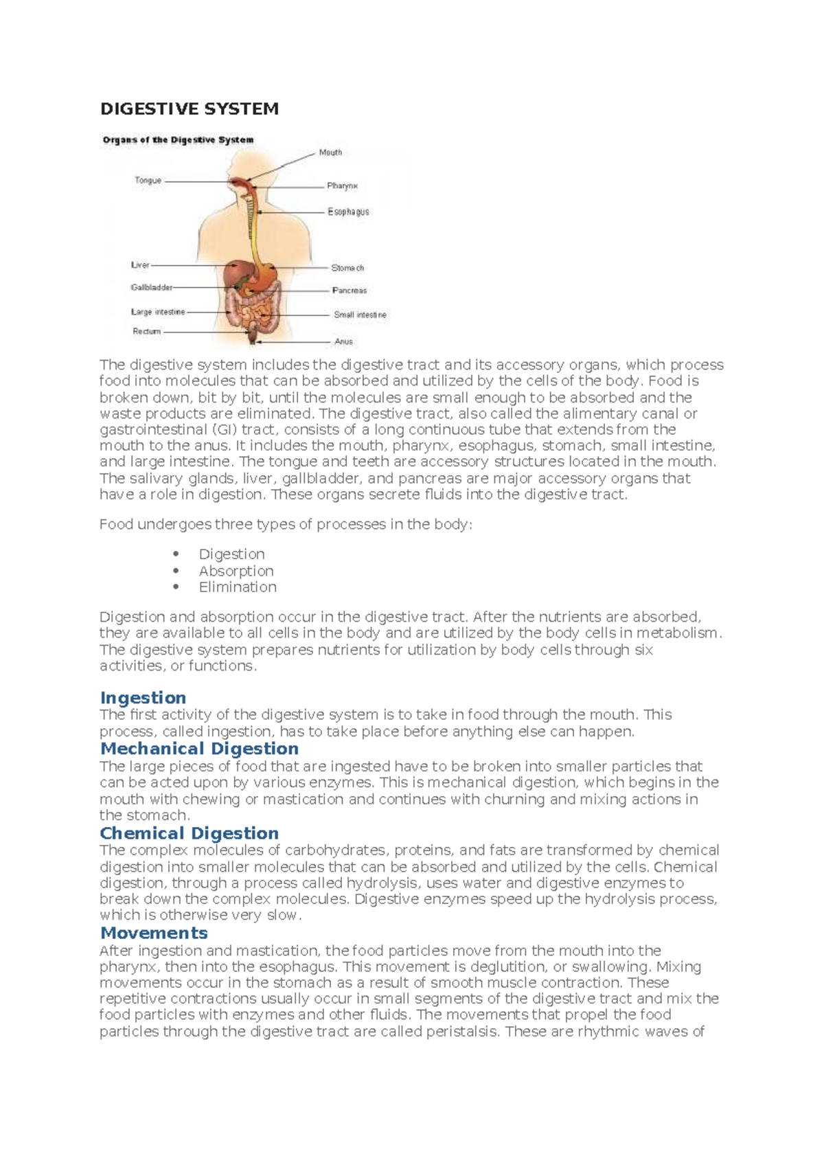 DIGESTIVE SYSTEM: Functions, Organs, and Pathologies Overview - Studocu