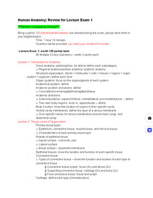 Human Anatomy Lecture Exam 2 Review Notes (Including Chapters 9-24 ...
