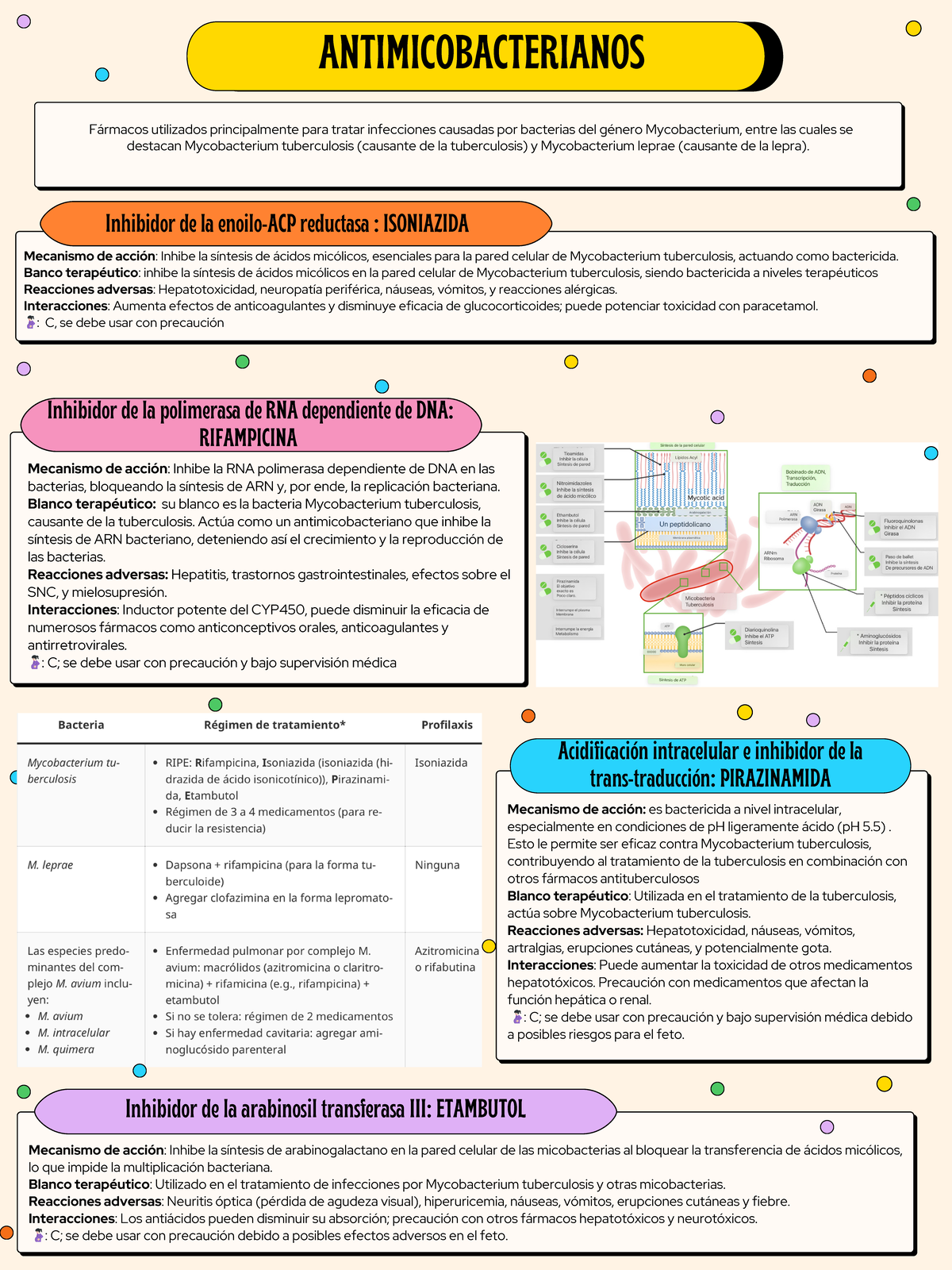 Póster ANTIMICOBACTERIANOS - Mecanismo de acción: es bactericida a ...