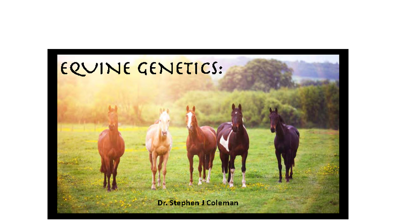 Equine Genetics (Course Code): Coat Color & Mendelian Inheritance ...