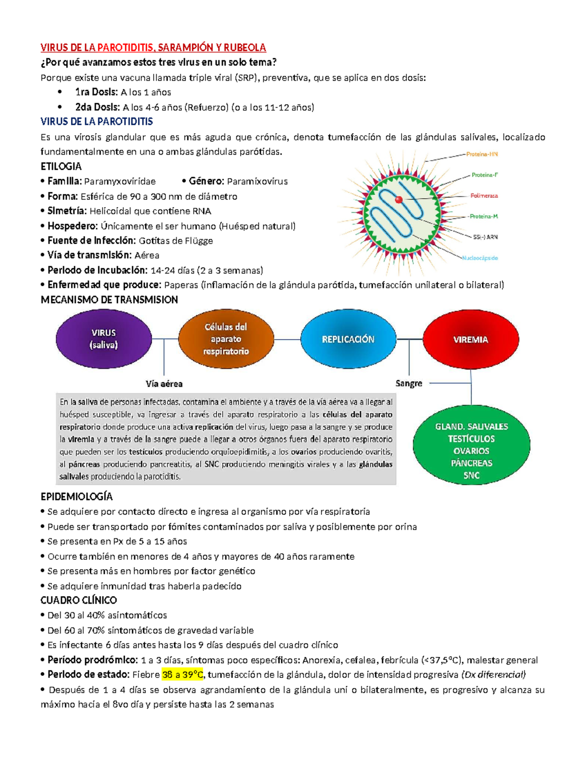 Virus de la Parotiditis, Sarampión y Rubéola: Estudio Integral SRP ...