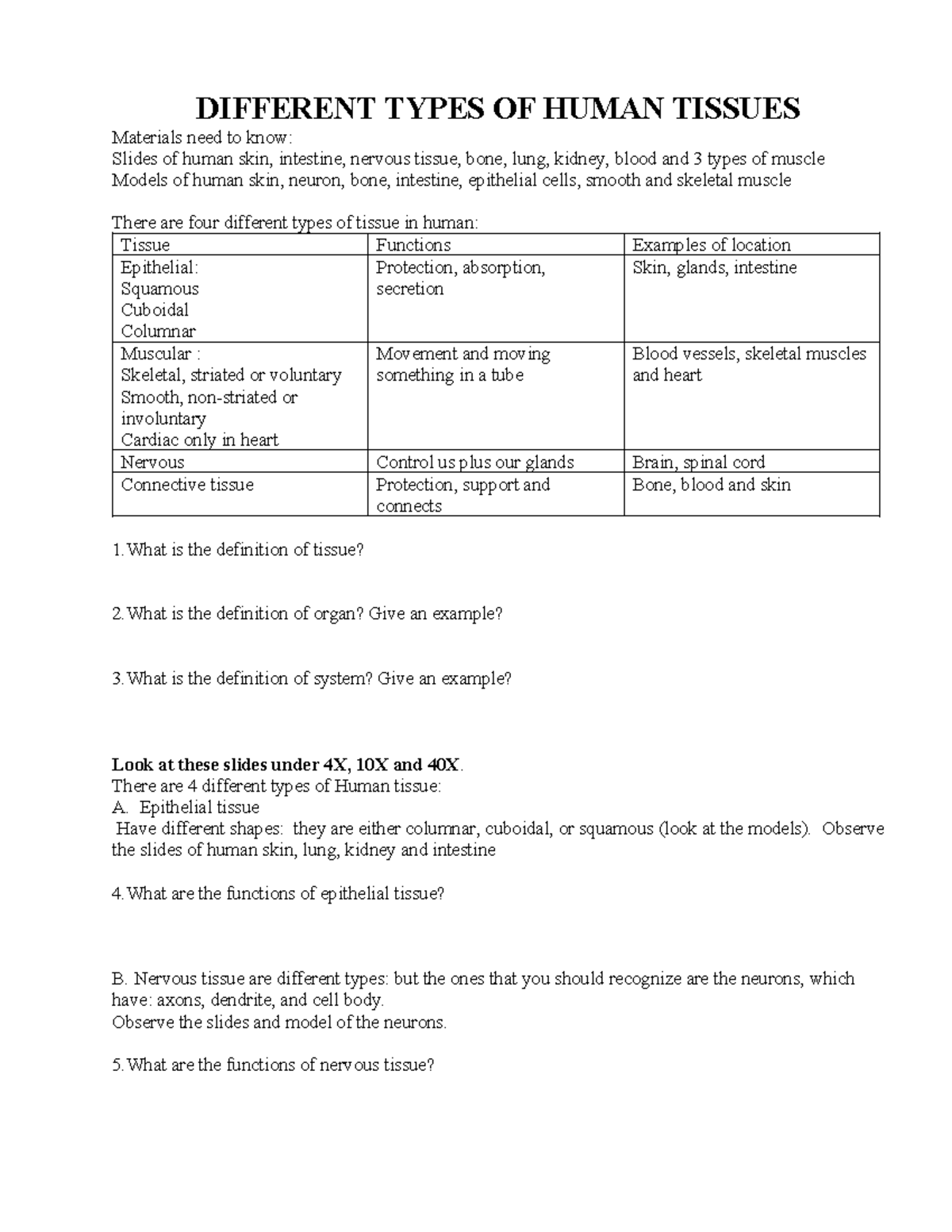 Human Tissue Types and Functions: An In-Depth Study Guide (BIO 101 ...