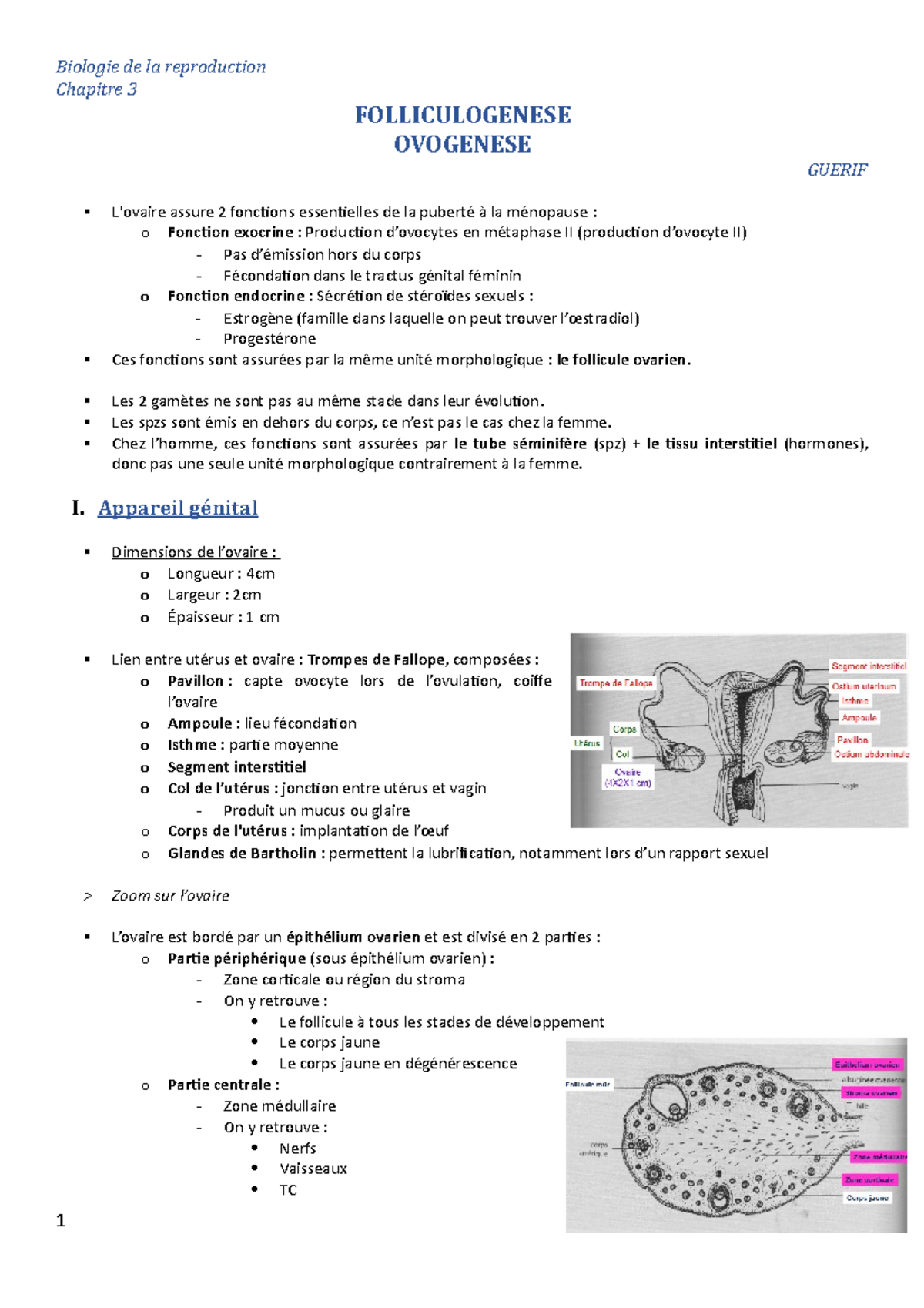Cours 3. Folliculogénèse - Ovogénèse - Biologie de la reproduction ...