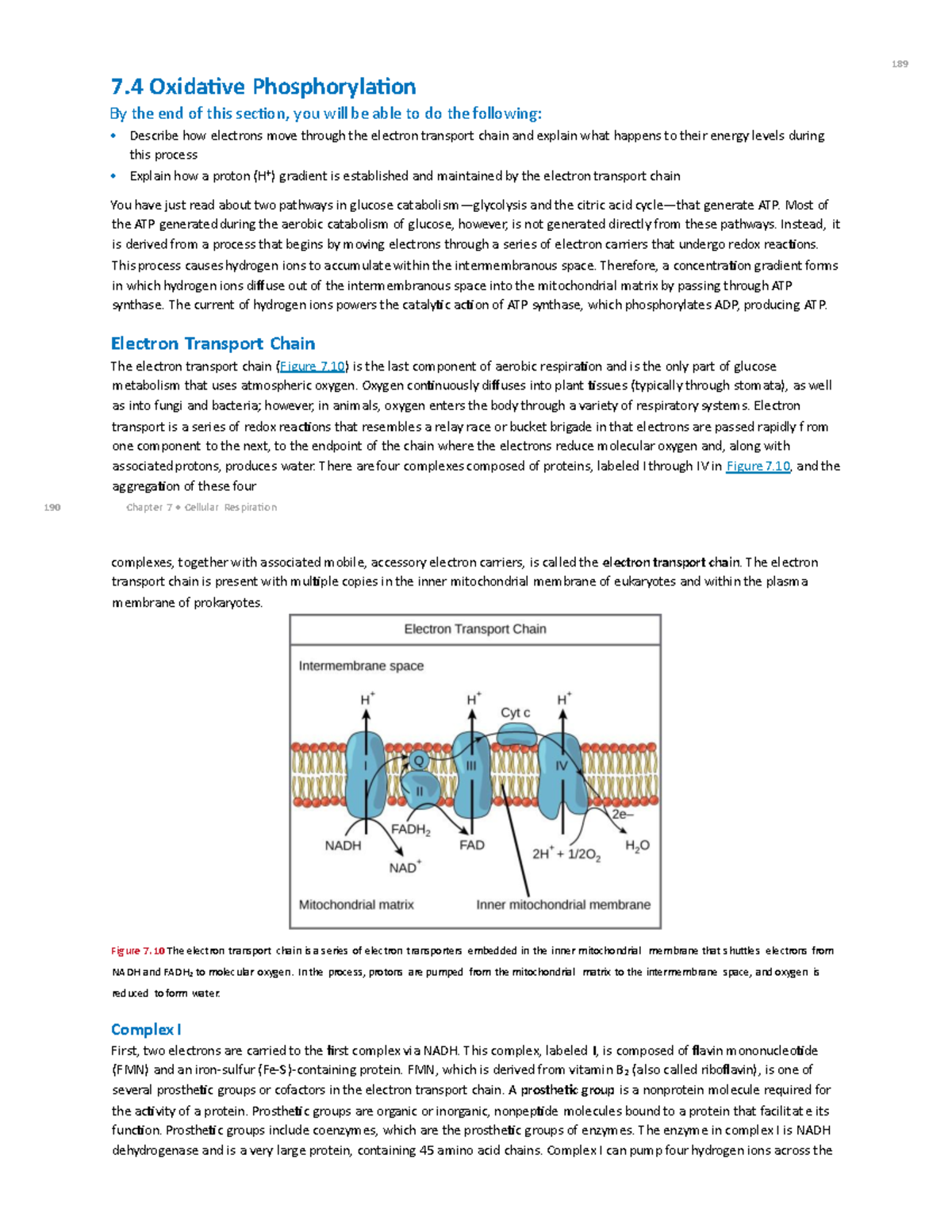 Oxidative Phosphorylation and Electron Transport Chain Overview - 189 7 ...
