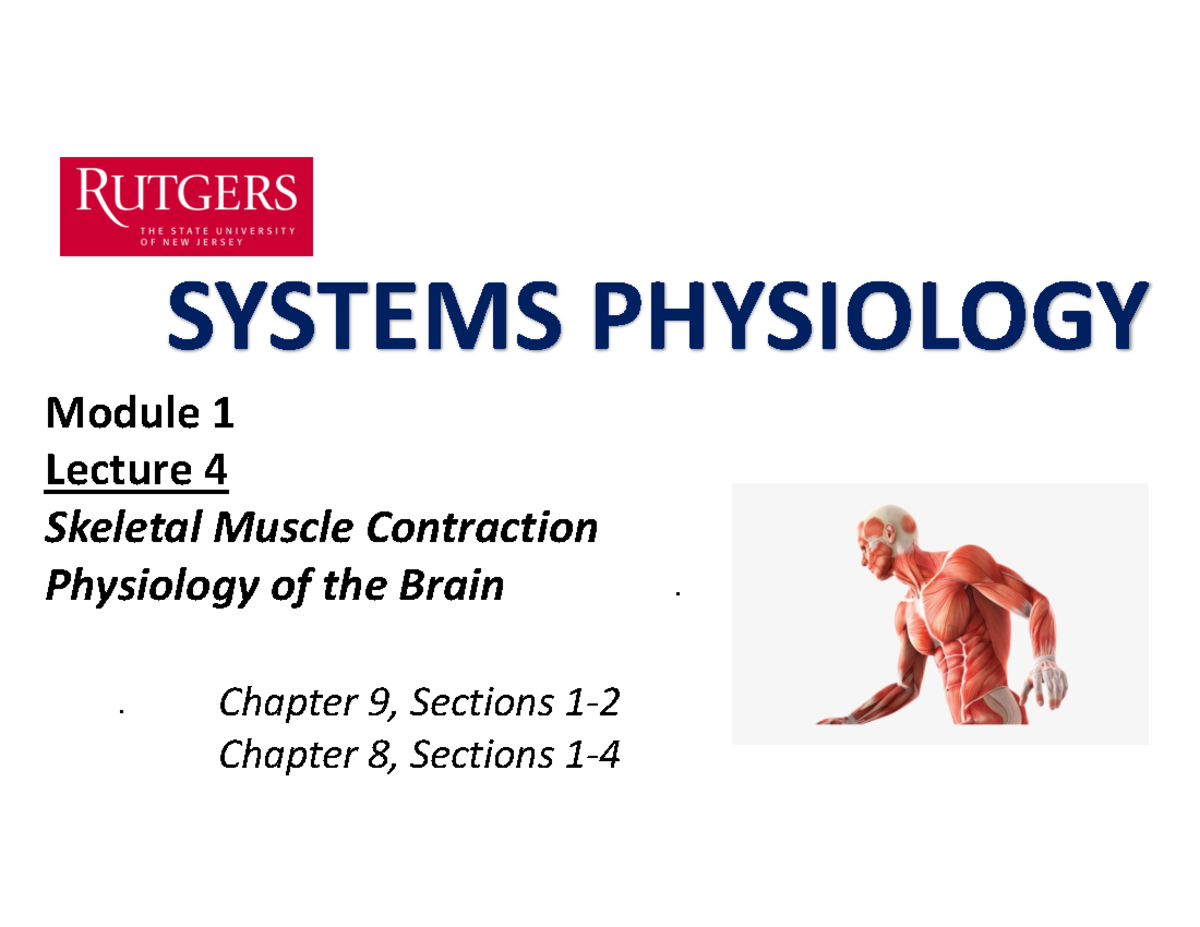 Lecture 4 & 5 - Cross Bridge Cycle, Physiology of the Brain - Read-Only ...
