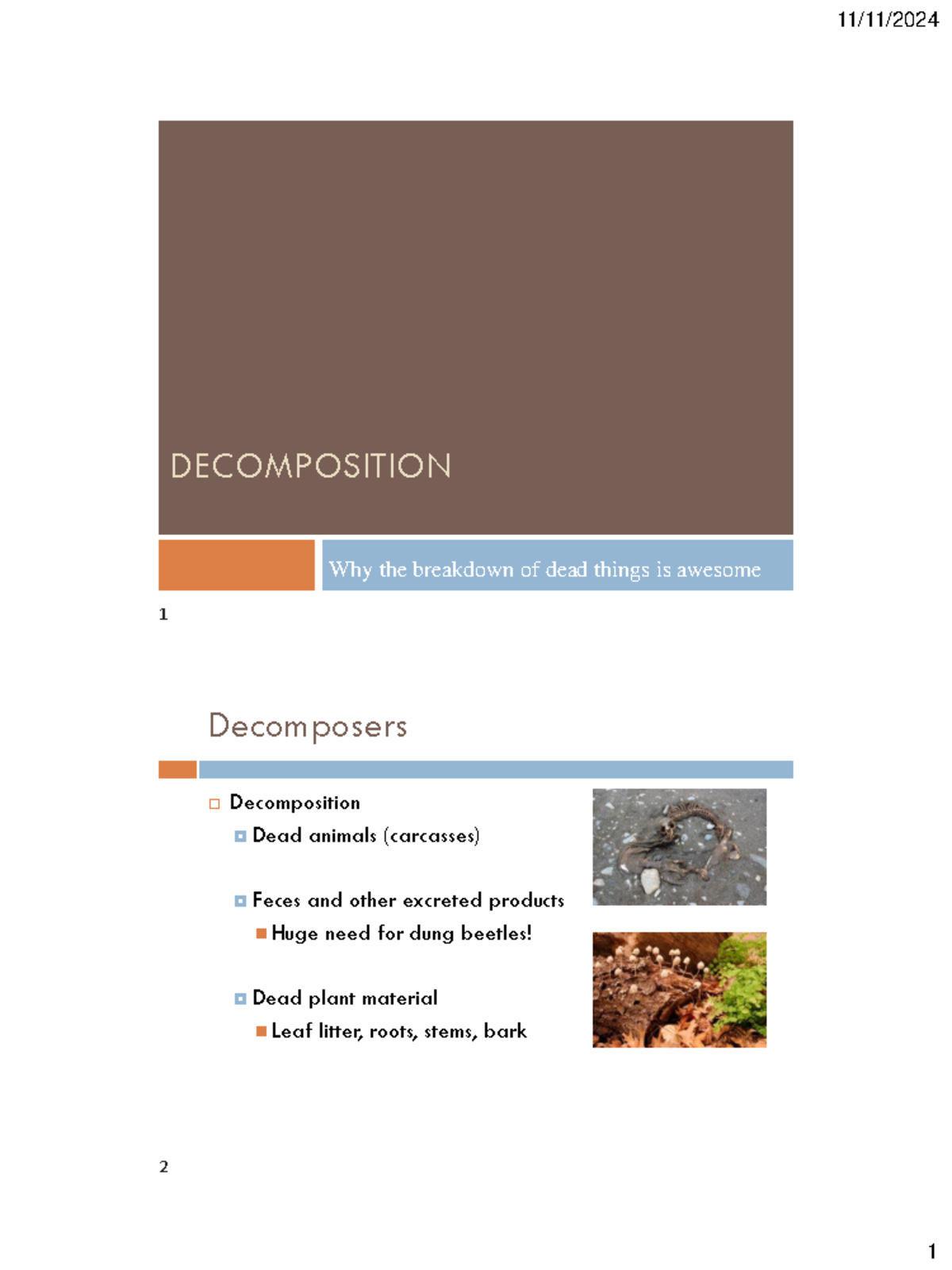 Understanding Decomposition Rates and Influences in Ecosystems ...