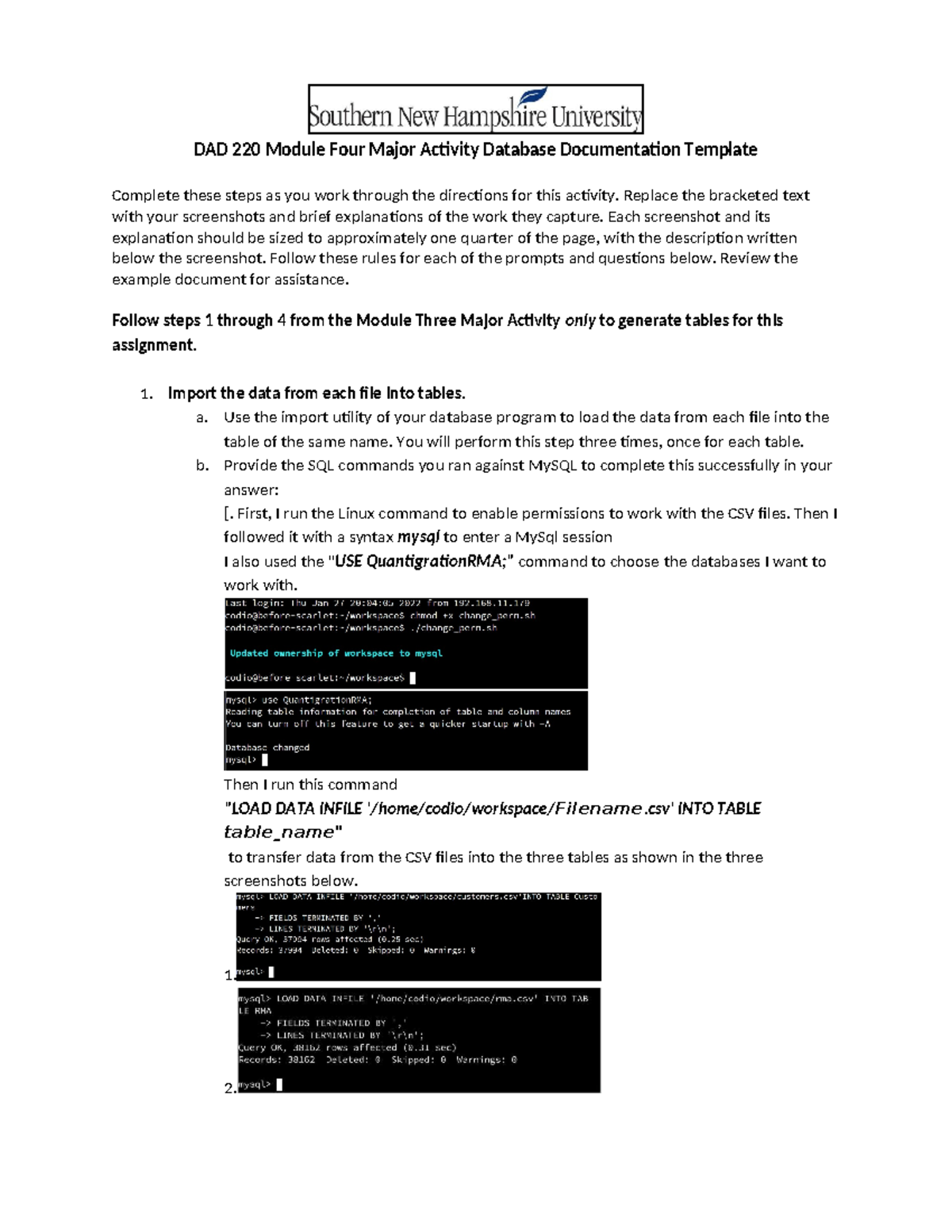 DAD 220 Module Four Major Activity Database Documentation Template 1 ...