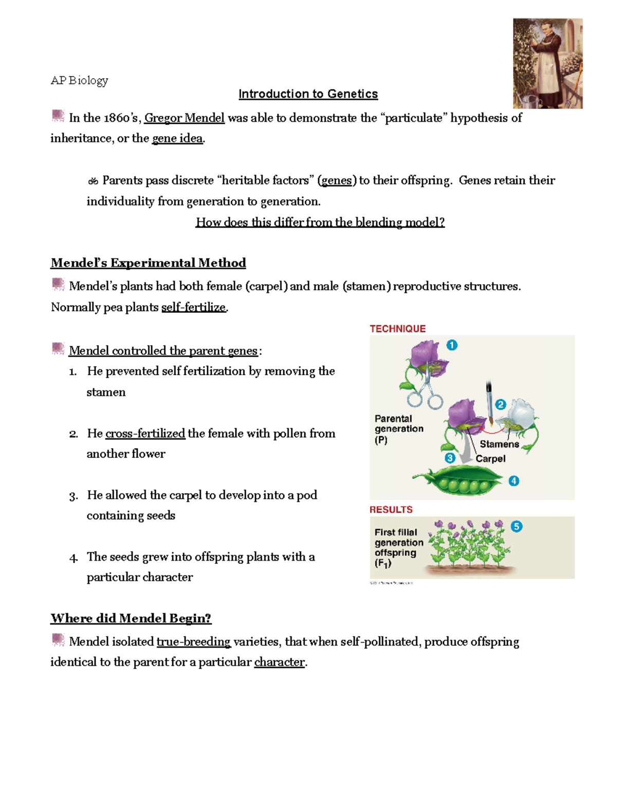 AP Biology Mendelian Genetics Packet 1: Practice & Concepts - Studocu