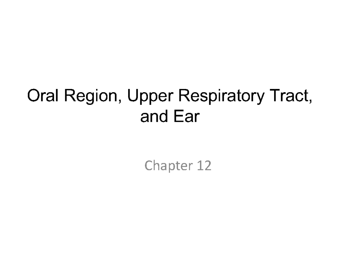 Oral Cavity, Upper Respiratory Tract, and Ear - Chapter 12 Review Notes ...