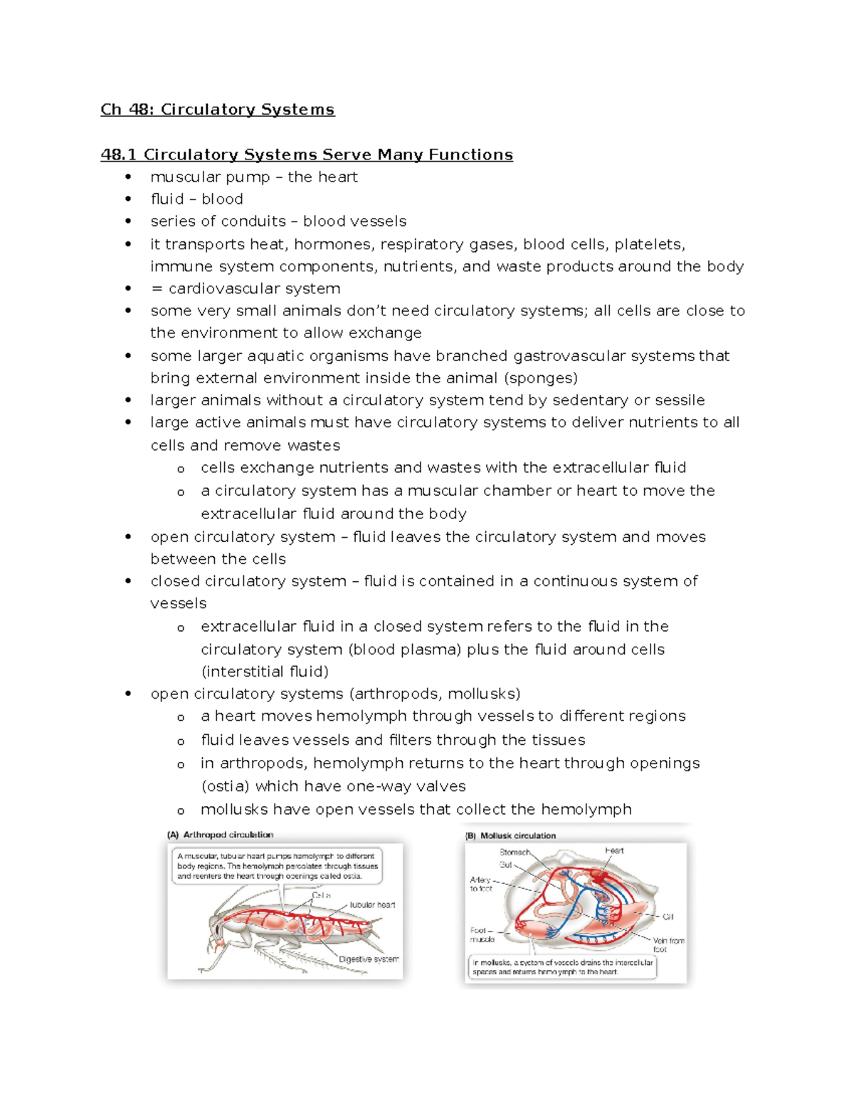 Ch 48 Circulatory System: Key Functions and Heart Mechanics Study Notes ...
