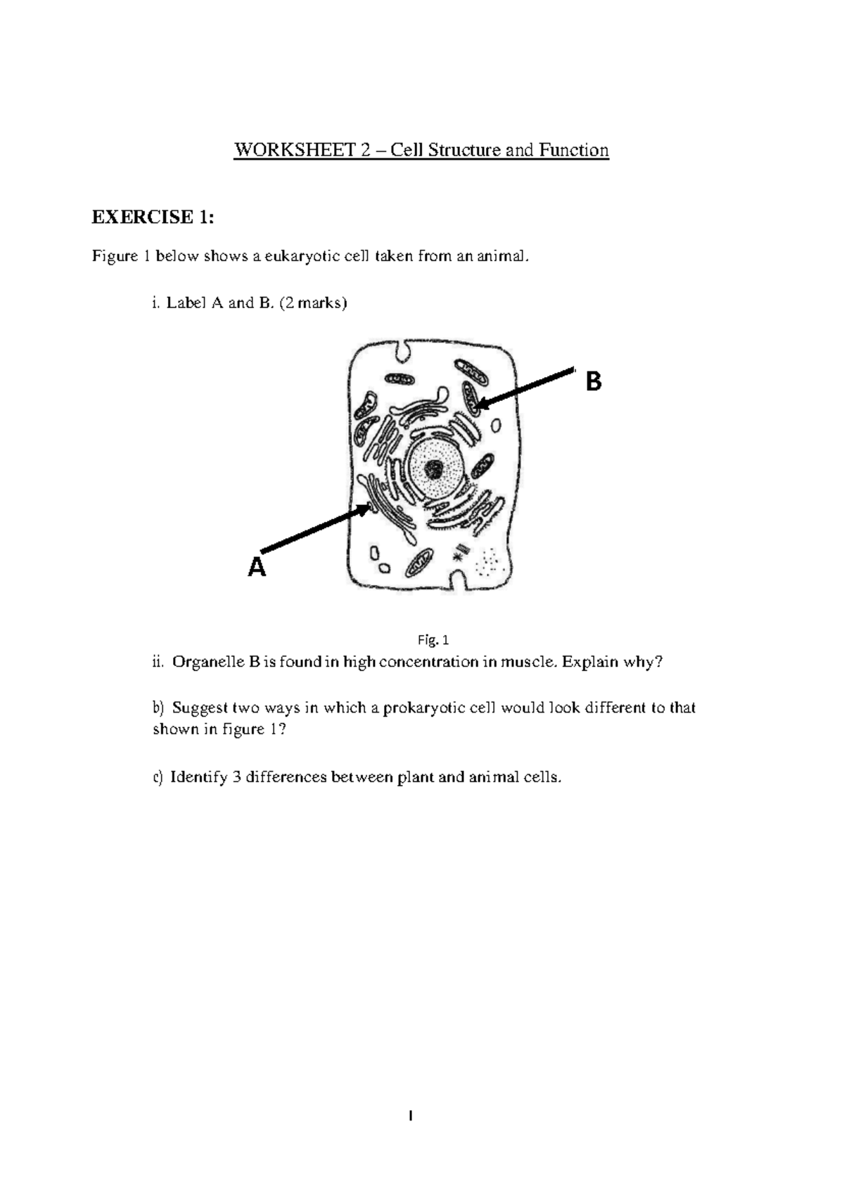 Worksheet 2: Cell Structure & Function Overview and Exercises - Studocu