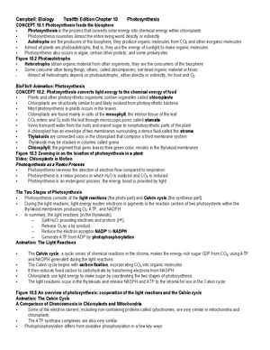 General Biology Final Exam Study Guide - GENERAL BIOLOGY I / REVIEW ...