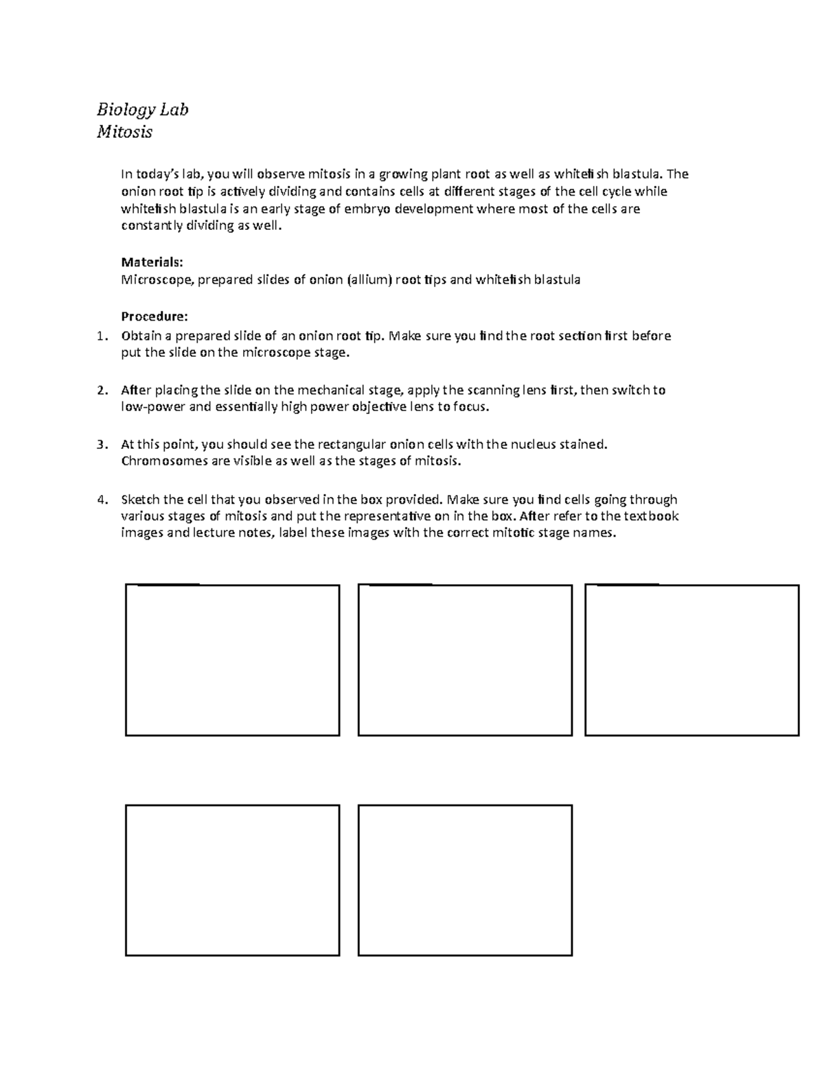 Biology Lab: Observing Mitosis in Onion and Whitefish Slides - Studocu