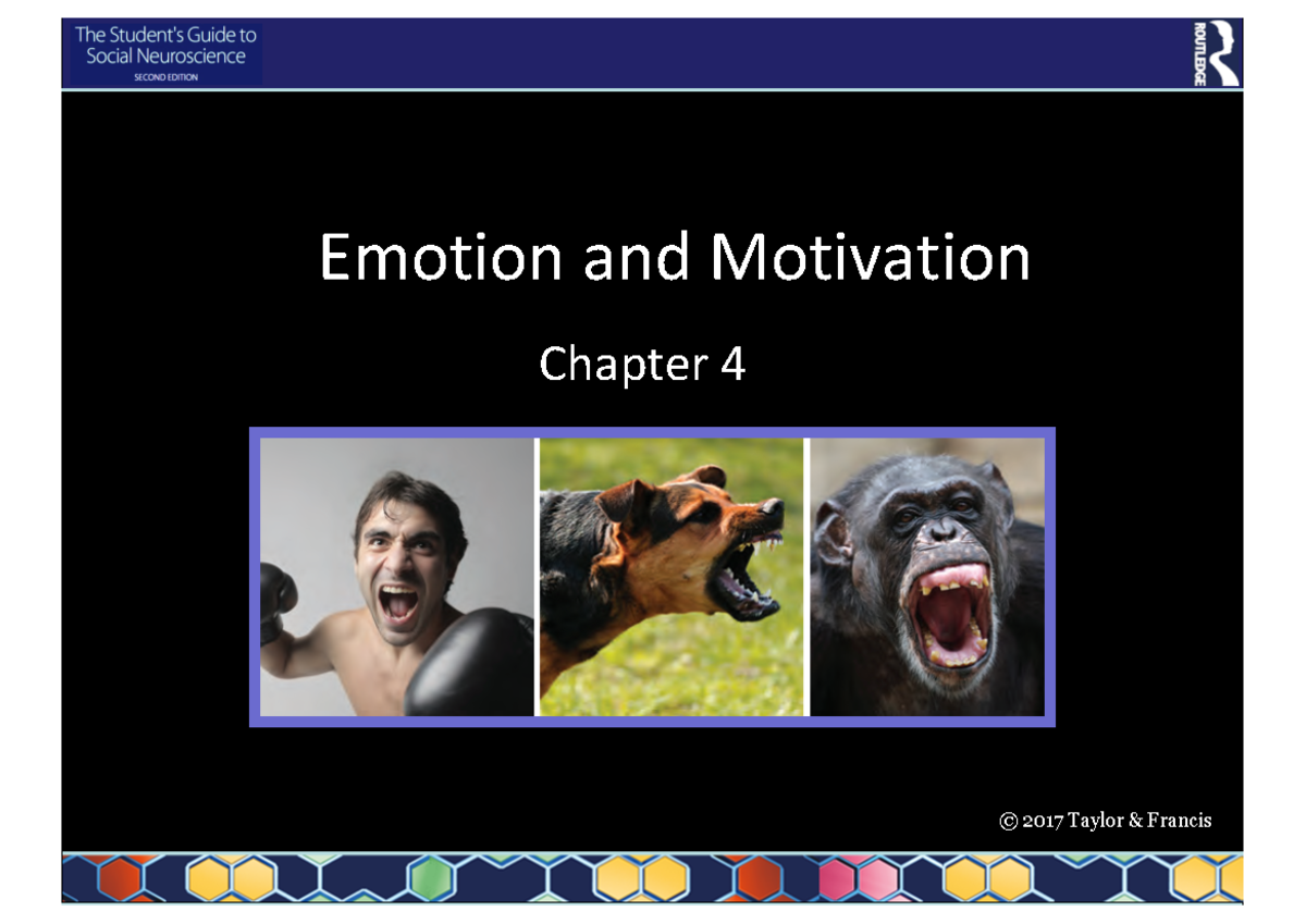 UA35 Duman Emotion Spring 25 final - Emotion and Motivation Chapter 4 ...