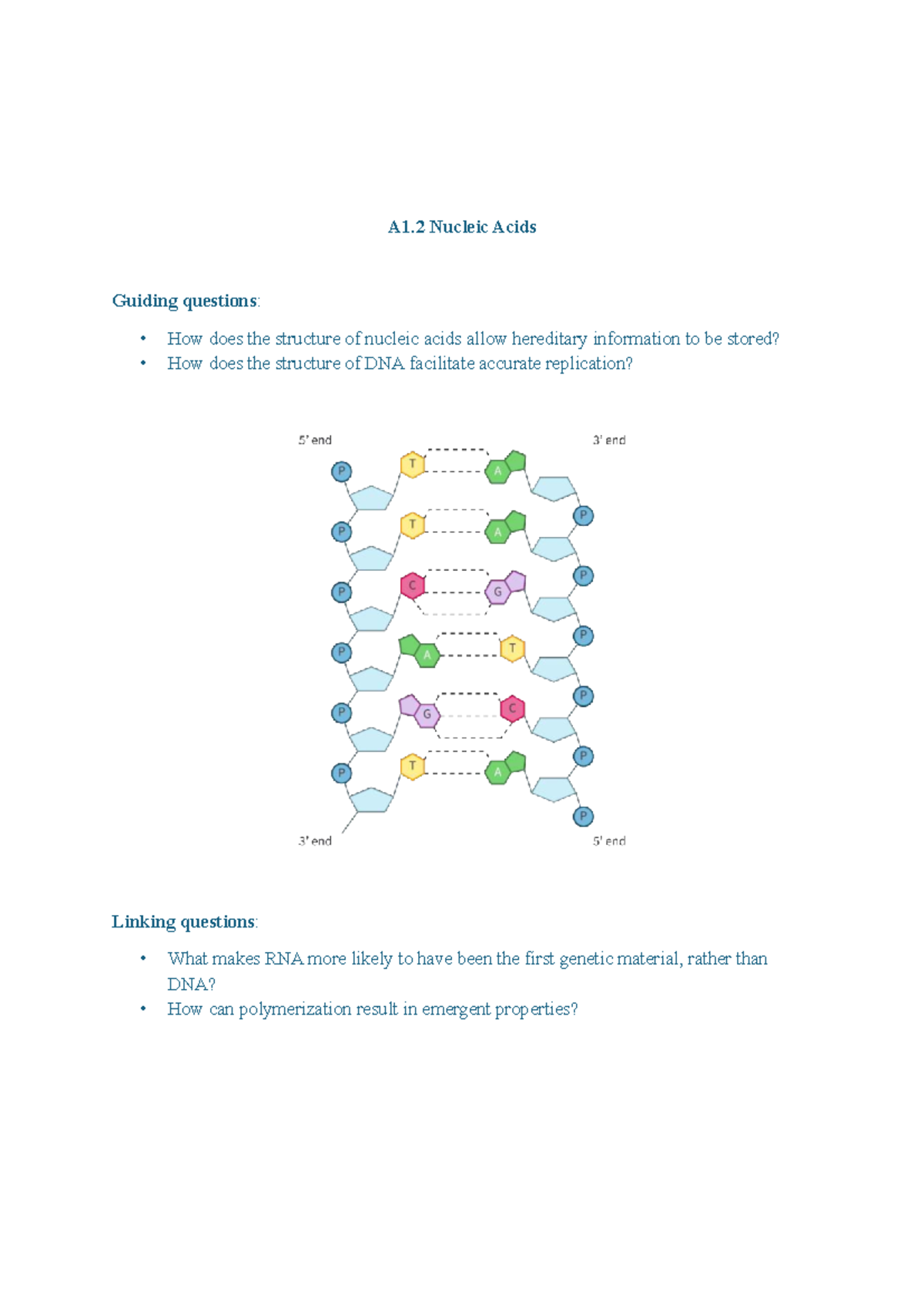 A1.2 Nucleic Acids - Comprehensive Study Notes and Key Concepts - Studocu